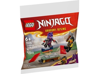 LEGO 30675 Ninjago Dragons Rising Set