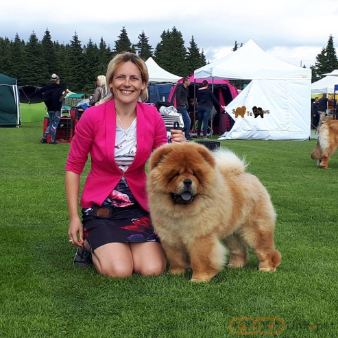 Chow-Chow, muzjak za parenje