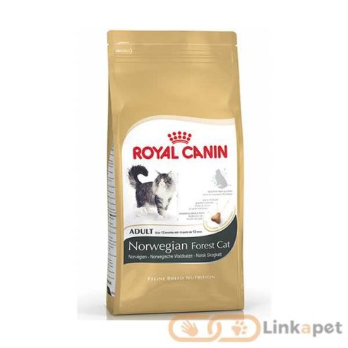 Royal Canin: Hrana za mačke NORWEGIAN FOREST CAT, 2 kg