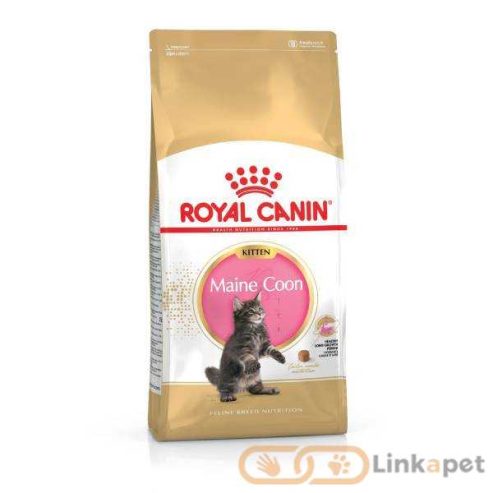 Royal Canin Kitten Mainecoon – 400gr