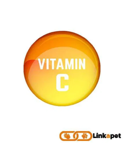 Vitamin C 100%