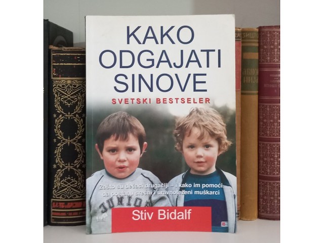 KAKO ODGAJATI SINOVE Stiv Bidalf