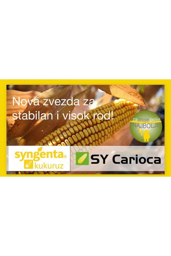 KUKURUZ SY CARIOCA 25000S+VIB+FORCE
Šifra: 75 JM: SJ