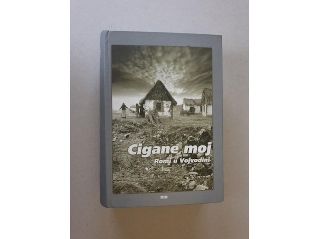 Cigane Moj - Romi u Vojvodini