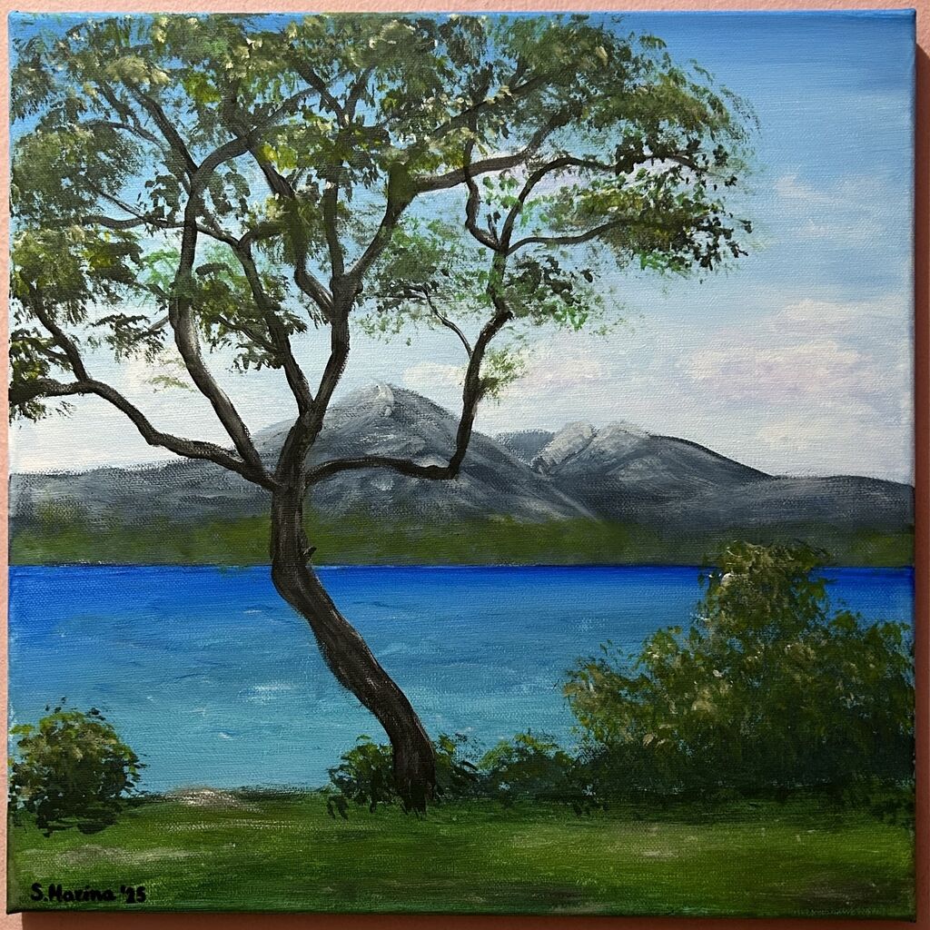 Slika, 40 x 40 cm, Novo