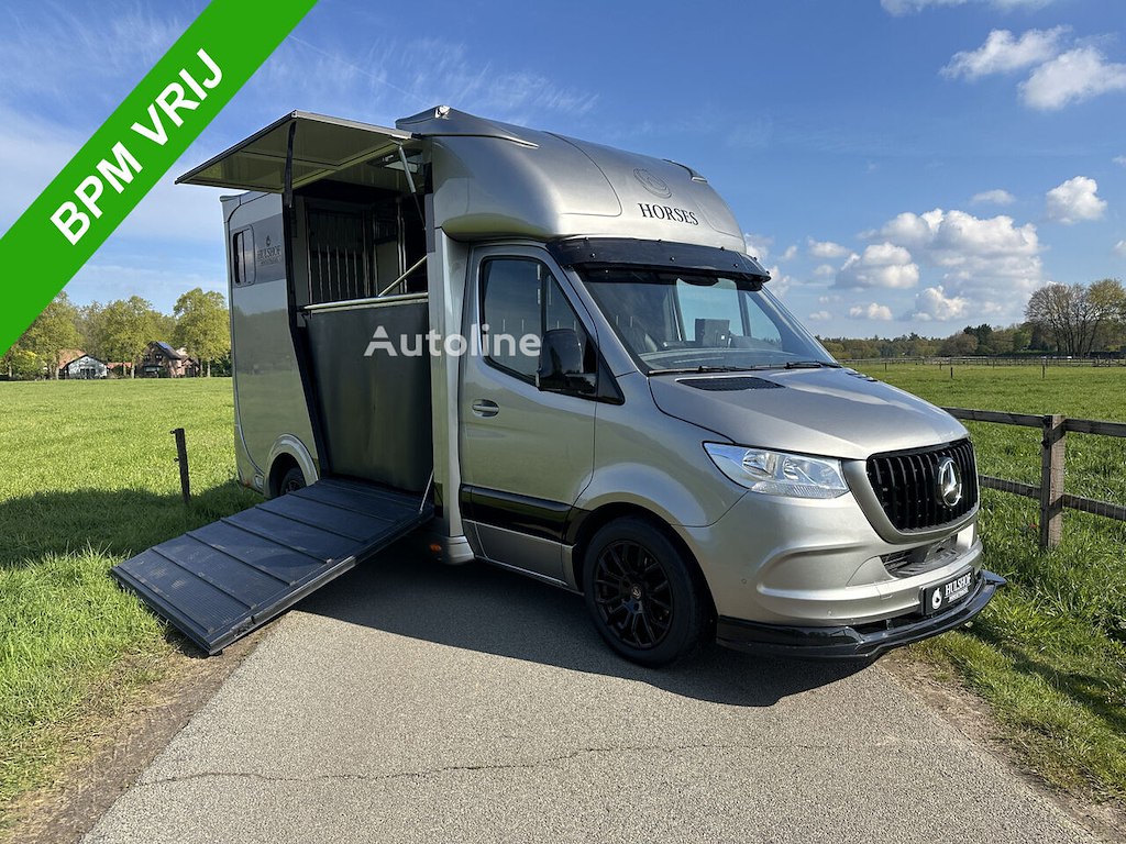 Mercedes-Benz Sprinter 317 AMG vozilo za prevoz konja