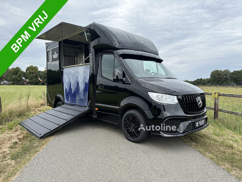 Mercedes-Benz Sprinter 315 AMG vozilo za prevoz konja