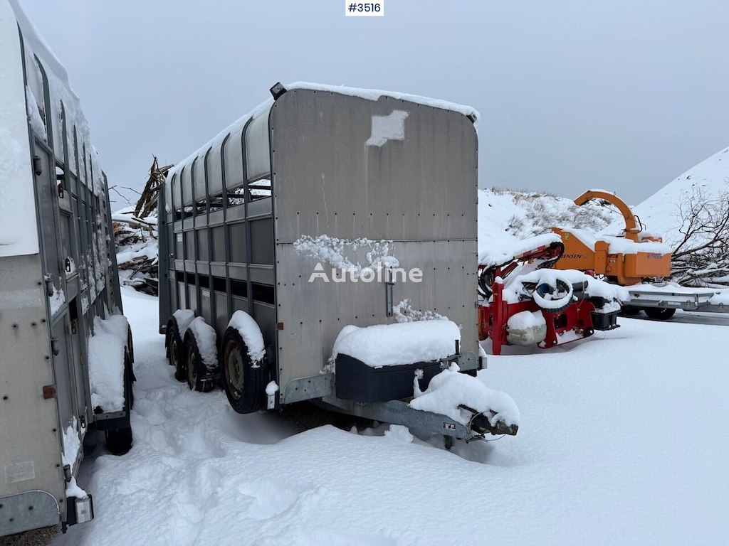 Ifor Williams Trailers TA 510G prikolica za prevoz stoke