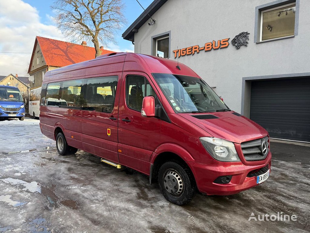 Mercedes-Benz Sprinter 516 putnički minibus