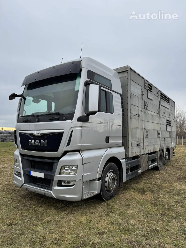 MAN TGX 26.440 kamion za prevoz stoke