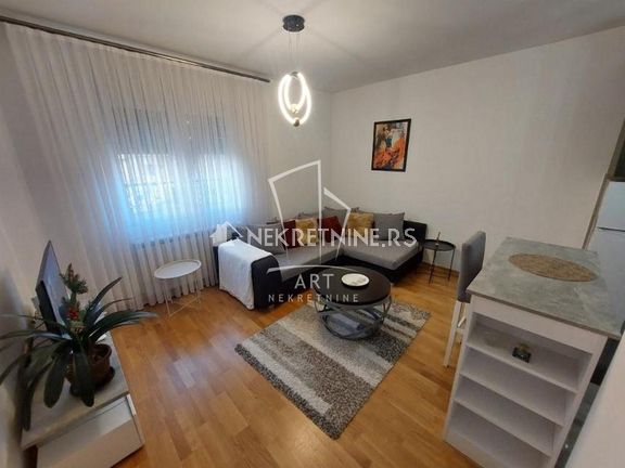 Vračar, Cerska, 36m2, pet friendly ID#9697