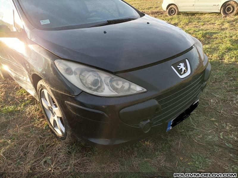 Peugeot 307 Trap I Vesanje