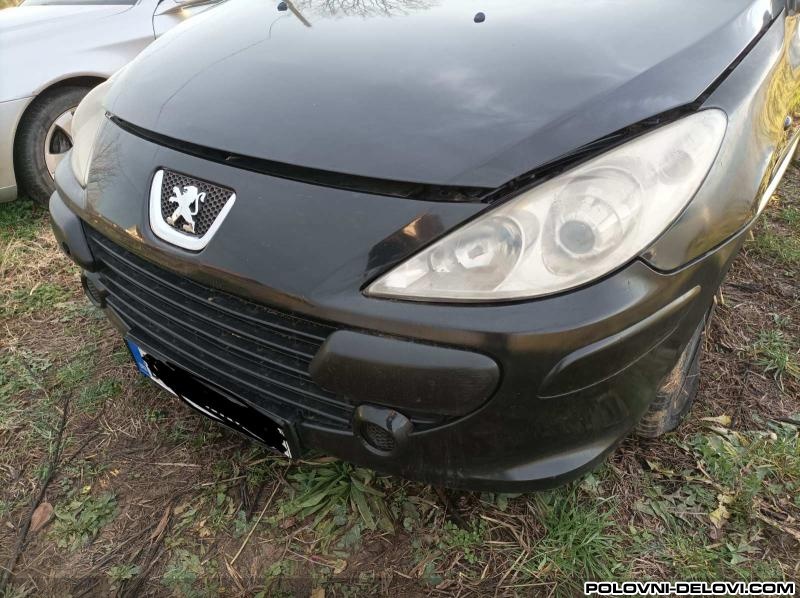 Peugeot 307 Trap I Vesanje