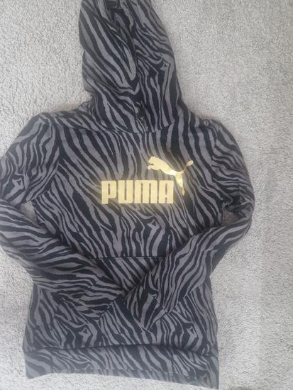 Puma duks kao Novo