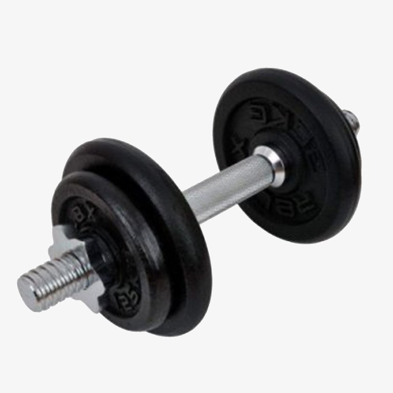 RING SPORT Teg Cast Dumbbell