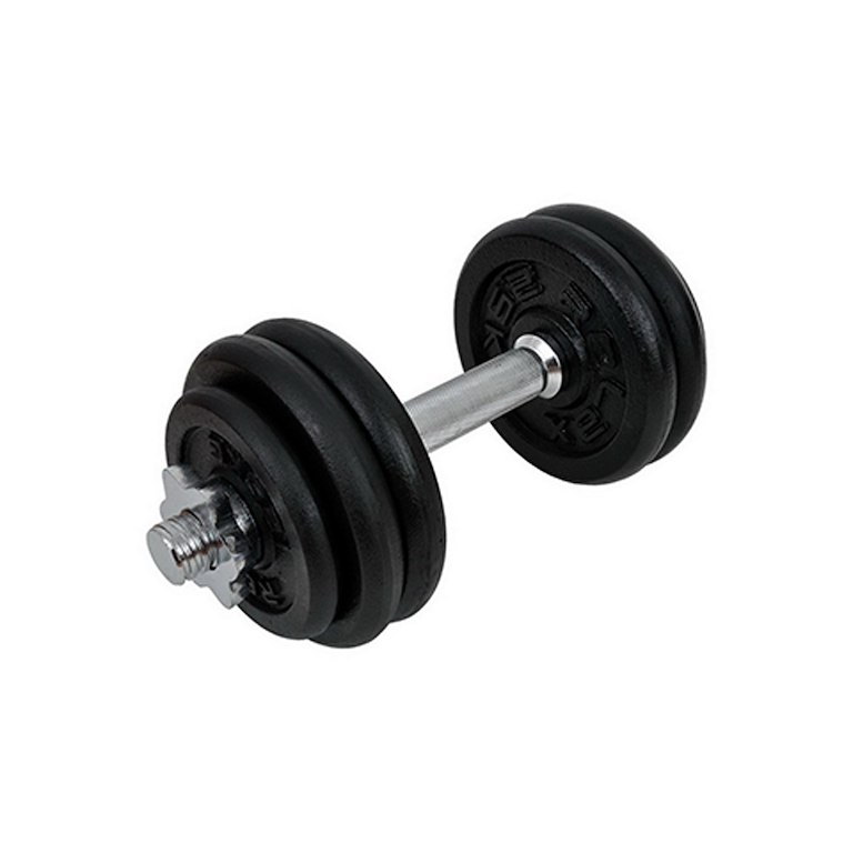 RING SPORT Teg Cast Dumbbell