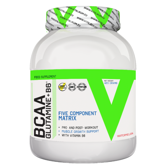 BCAA + Glutamine + B6 420 g