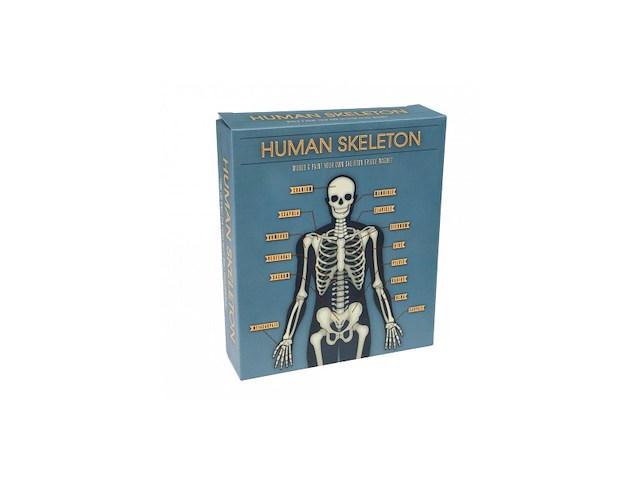 Kreativni set - Make your own magnetic skeleton, glow in the dark