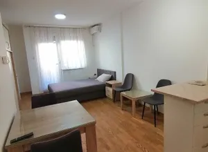 Izdavanje Garsonjera - Novi Sad, Detelinara