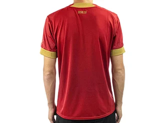 Puma Dres Puma Fss Home Jersey Replica 765760-01