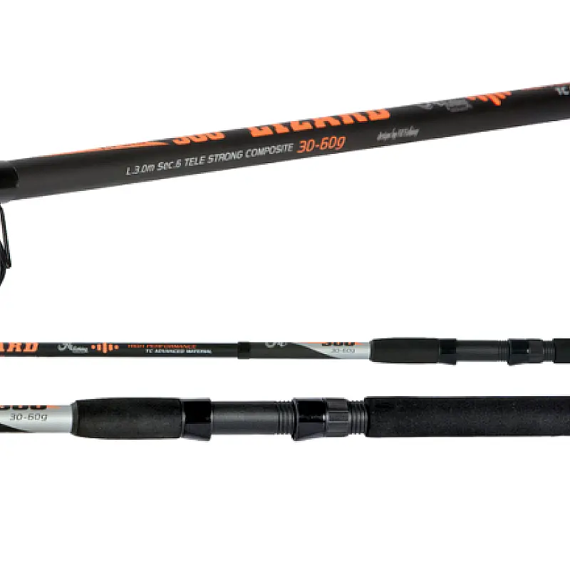 FIL FISHING LIZARD TELE 3,0m 30-60g (10-8841)