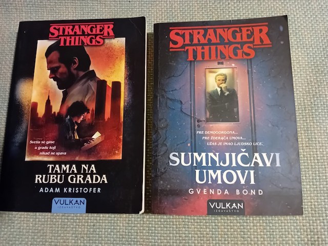 STRANGER THINGS : TAMA NA RUBU GRADA - SUMNJIČAVI UMOVI