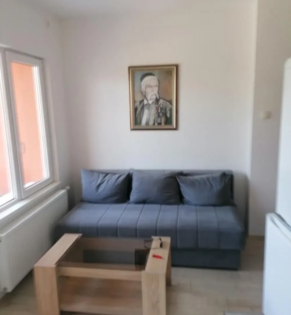 Izdavanje, jednosoban stan, 34m2, Adice, Novi Sad, Novi Sad