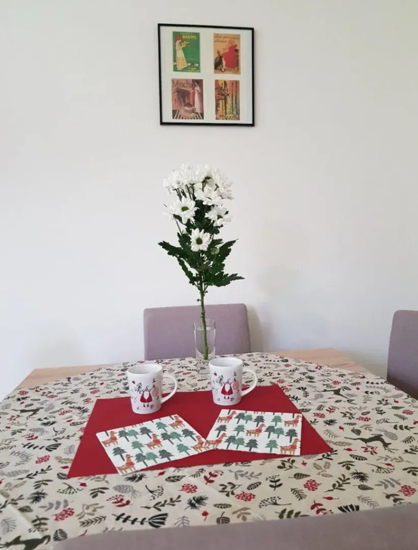 Izdavanje, jednosoban stan, 35m2, Centar, Novi Sad