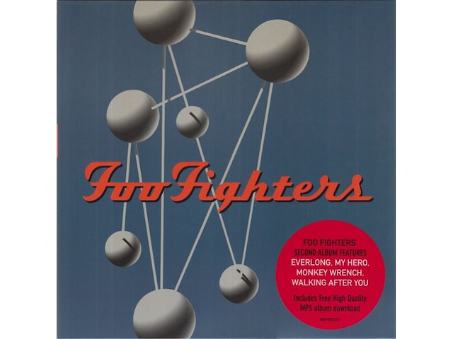 Foo Fighters - Colour And The Shape