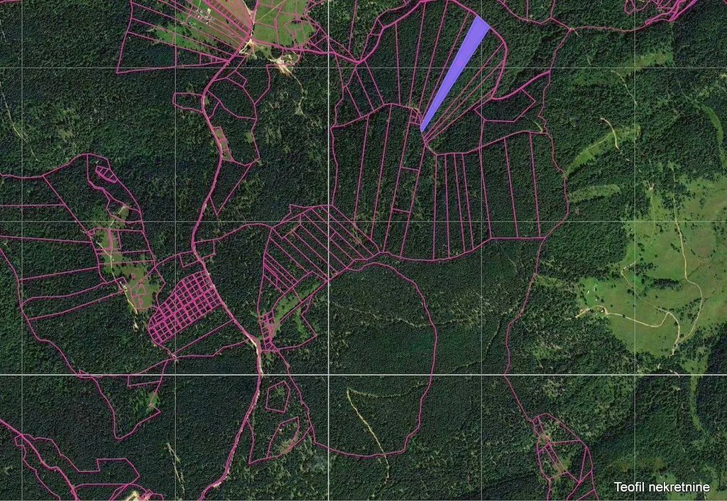 Prodaja, zemljište, 21000m2, Golija, Ivanjica