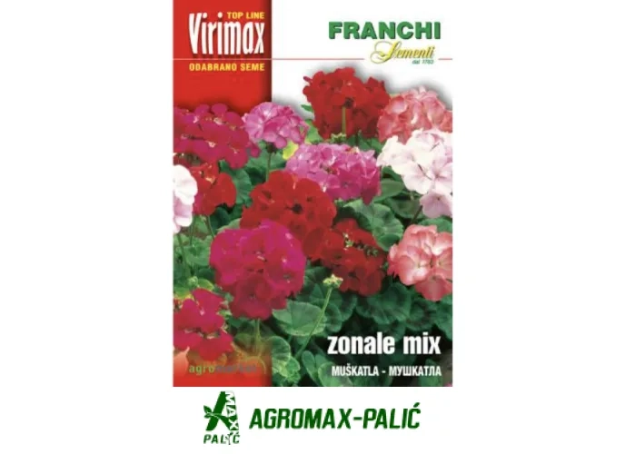 Cveće MUSKATLA-GRANDI FIORI MULTICOLOR Virimax