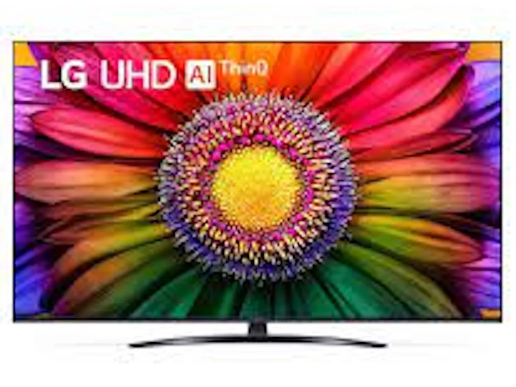 LG BG Televizor LG 65UR81003LJ/LED/65"/Ultra HD/smart/webOS ThinQ AI/crna