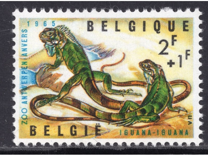 478 - Belgija - nežigosana marka