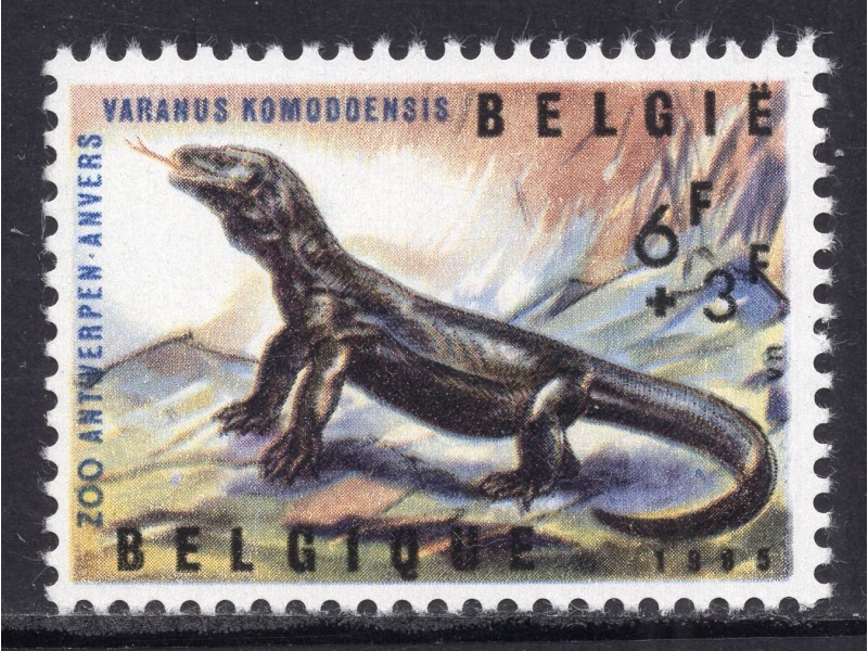 479 - Belgija - nežigosana marka