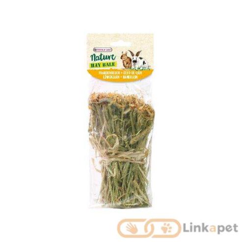 Versele Laga Snack hay bale dandelion nature – 70g