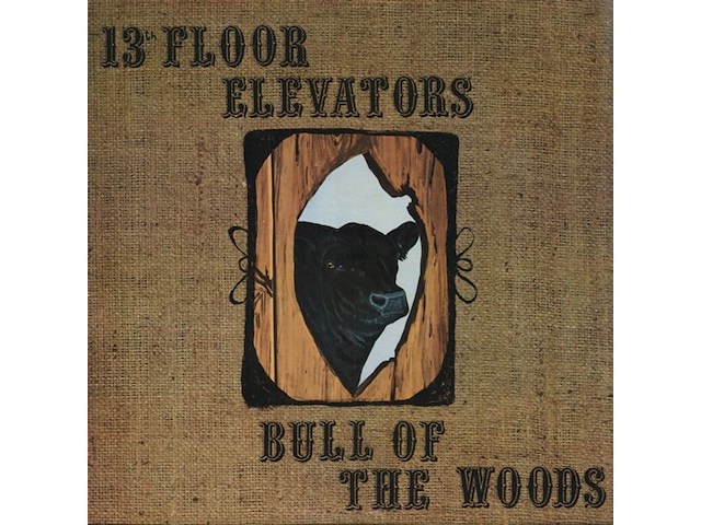 13th Floor Elevators – Bull Of The Woods