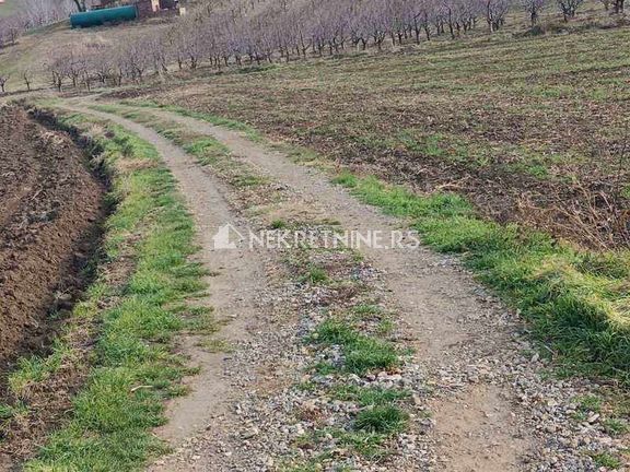 Poljoprivredno zemljiste u Sremskim Karlovcima