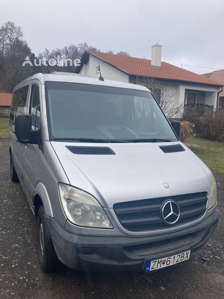 Mercedes-Benz Sprinter 315 CDI putnički minibus