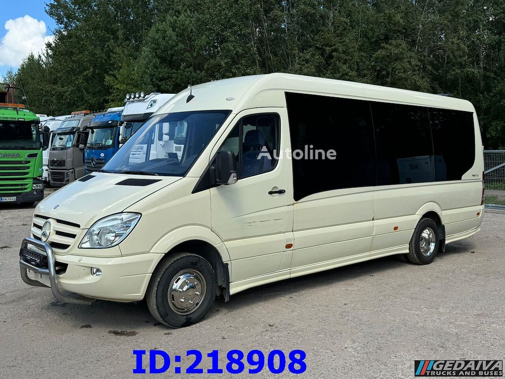 Mercedes-Benz Sprinter 519 VIP 18-Place Prostyle Euro5 putnički minibus