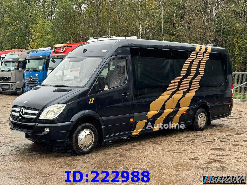 Mercedes-Benz Sprinter 519 VIP - 17 Seater putnički minibus