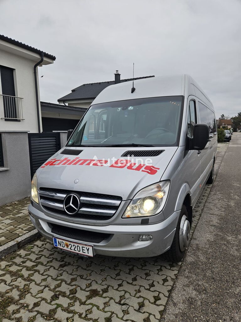 Mercedes-Benz Sprinter 319 putnički minibus