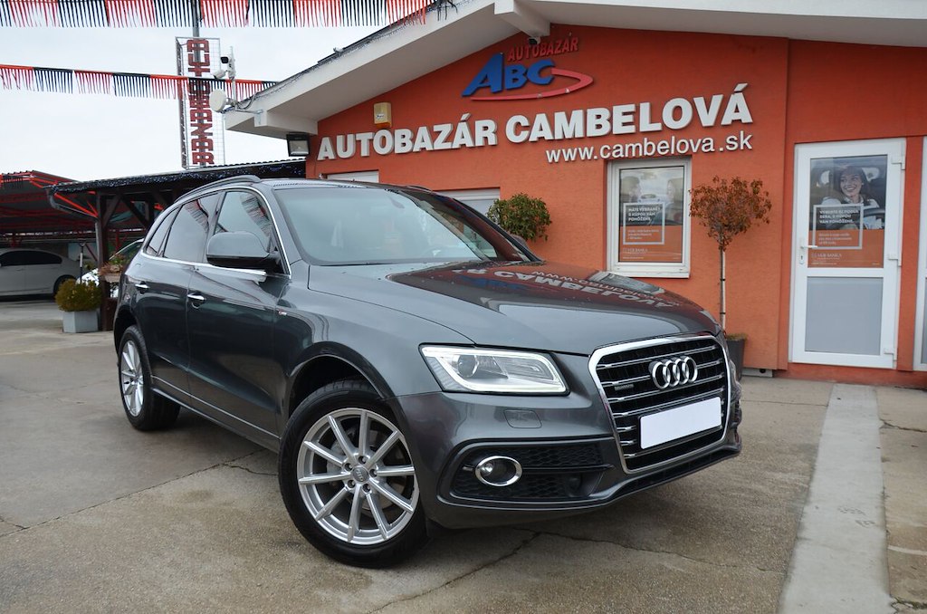 Audi Q5 2,0TDI S-line krosover