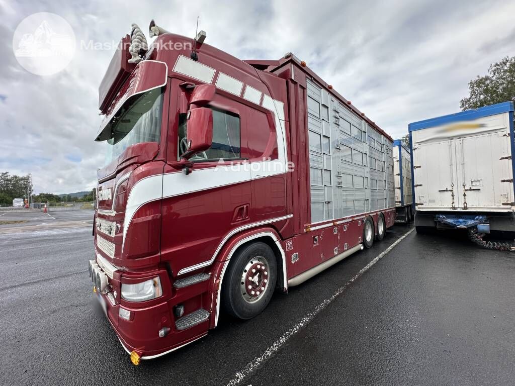 Scania R 580 Ekipage kamion za prevoz stoke