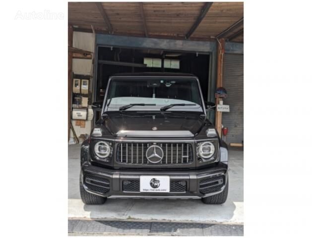 Mercedes-Benz G-Class terenac