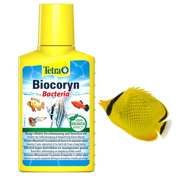 Tetra Biocoryn 100ml