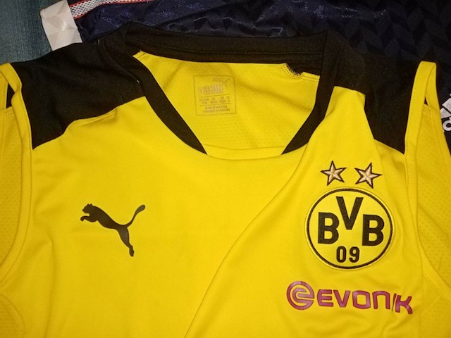 Borussia Dortmund - PUMA Evonik