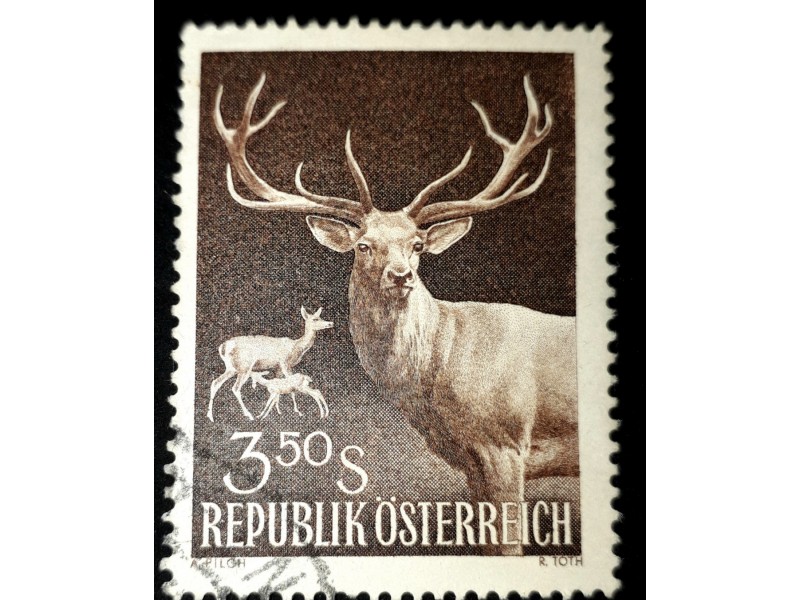 Austrija 1958