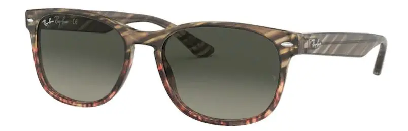 RAY-BAN Naočare za sunce 0RB2184 12547157, Braon
