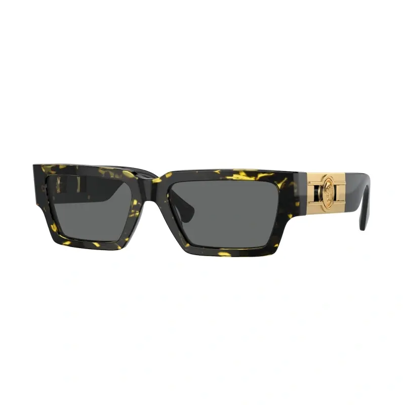 VERSACE Naočare za sunce 0VE4459 542887 54, Crno - žute