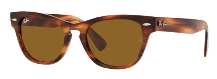 Ray Ban Unisex sunčane naočare 0RB2201 954/33 54 LARAMIE, Braon